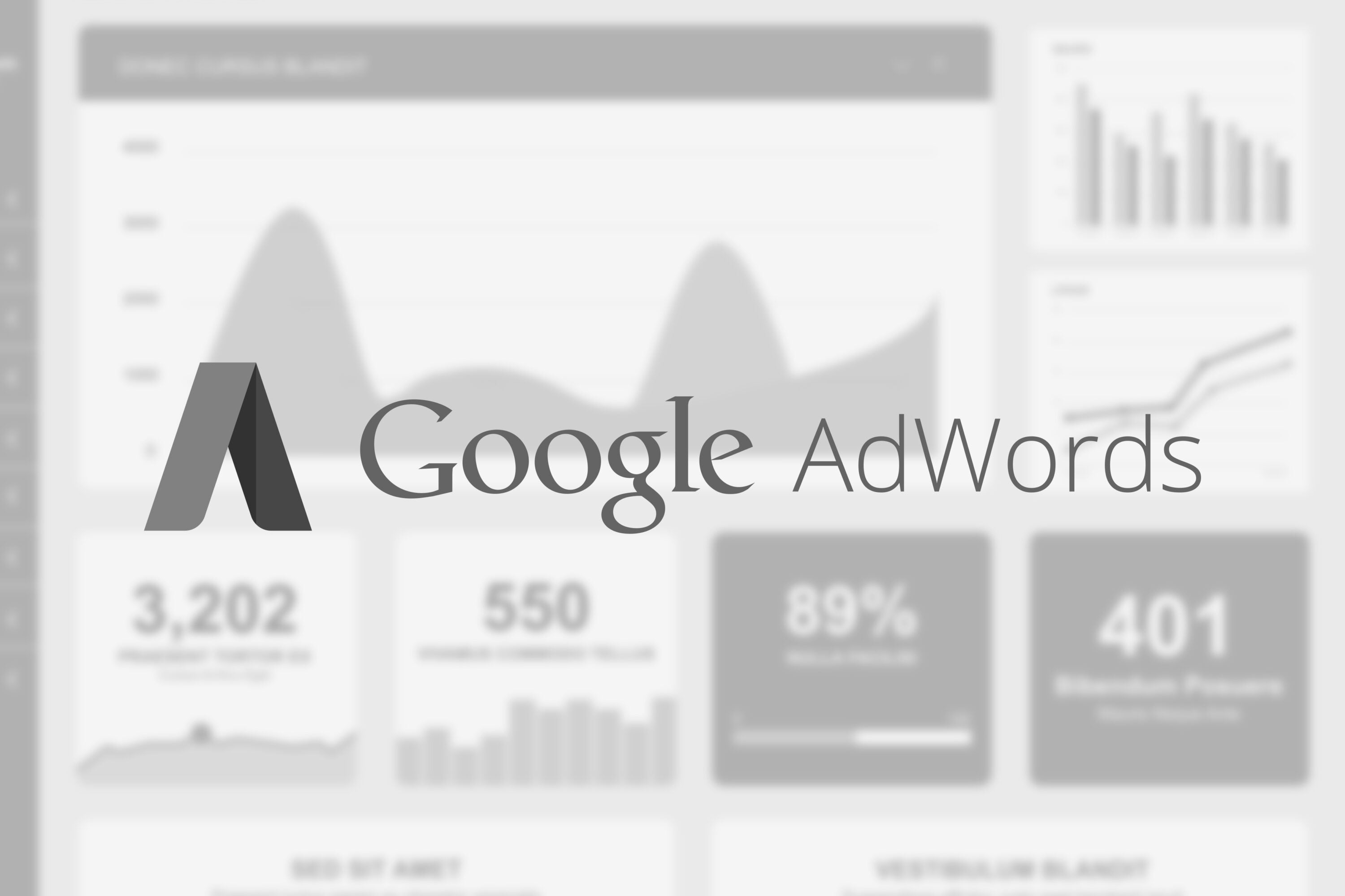 Straight North Video Tutorial – How To Use Google AdWords Bid ...