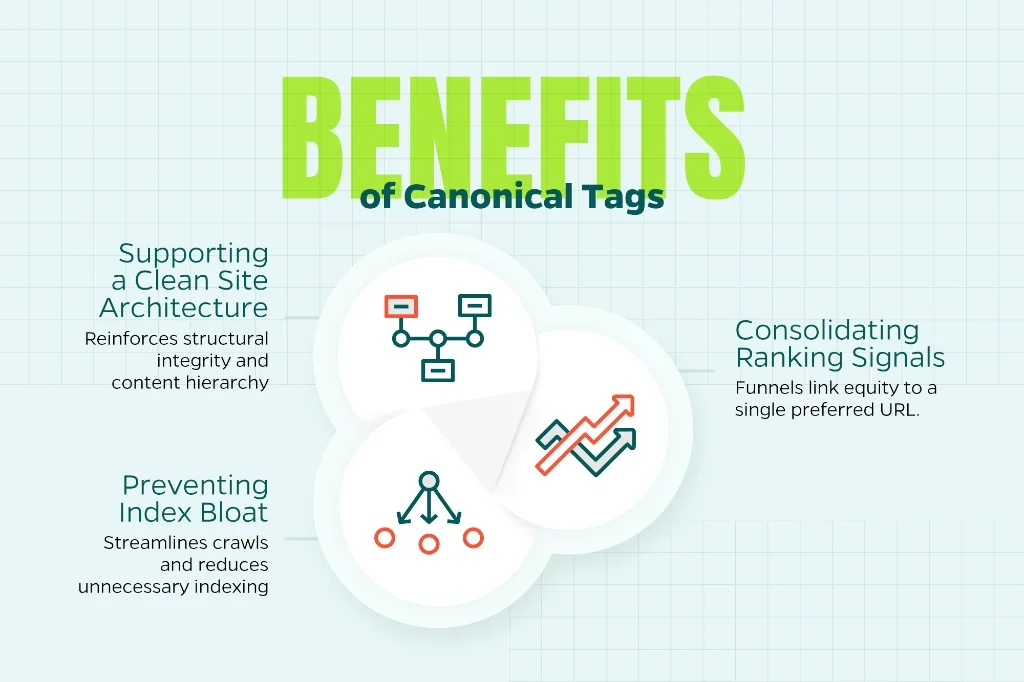 Canonical Tags Explained: Prevent Duplicate Content & Protect Rankings